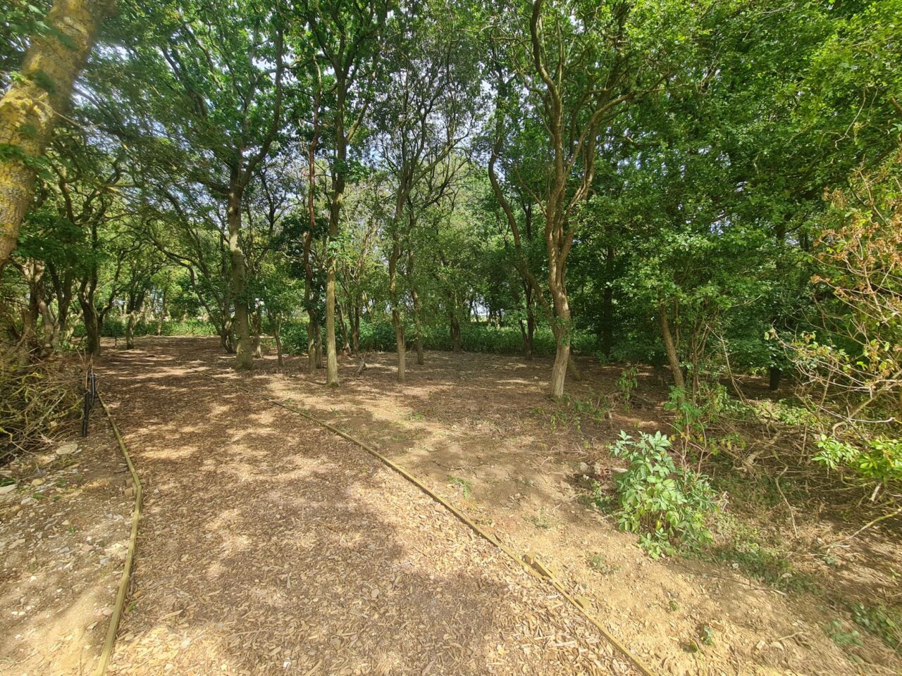 Memorialisation | Huntingdon Crematorium and Cemetery